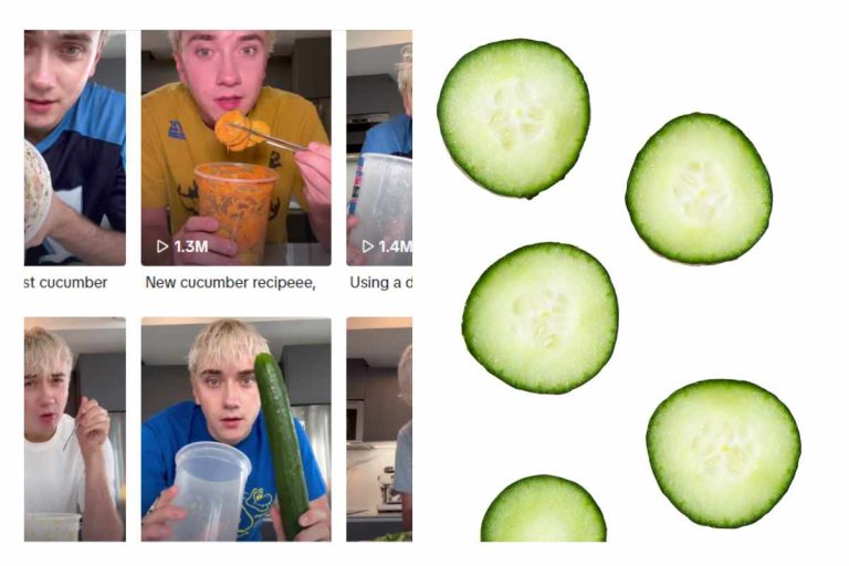 ¿Quién es Logan Moffit? ¿cómo logró viralizar sus recetas de pepino en ...